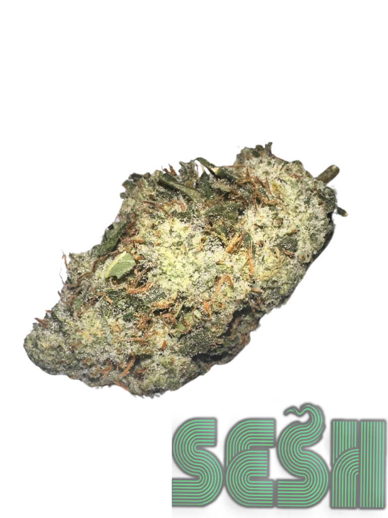 GREASY KONG – Sesh