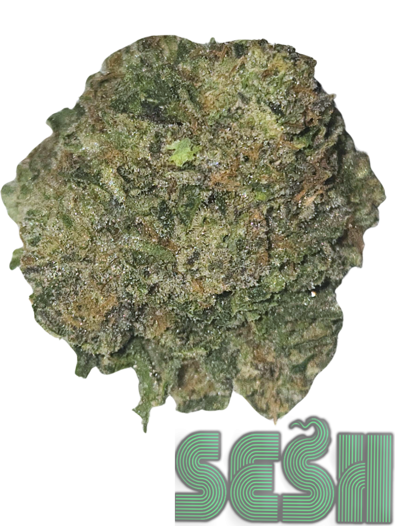 Sesh – Delivering Good Vibes, One Sesh at a Time.